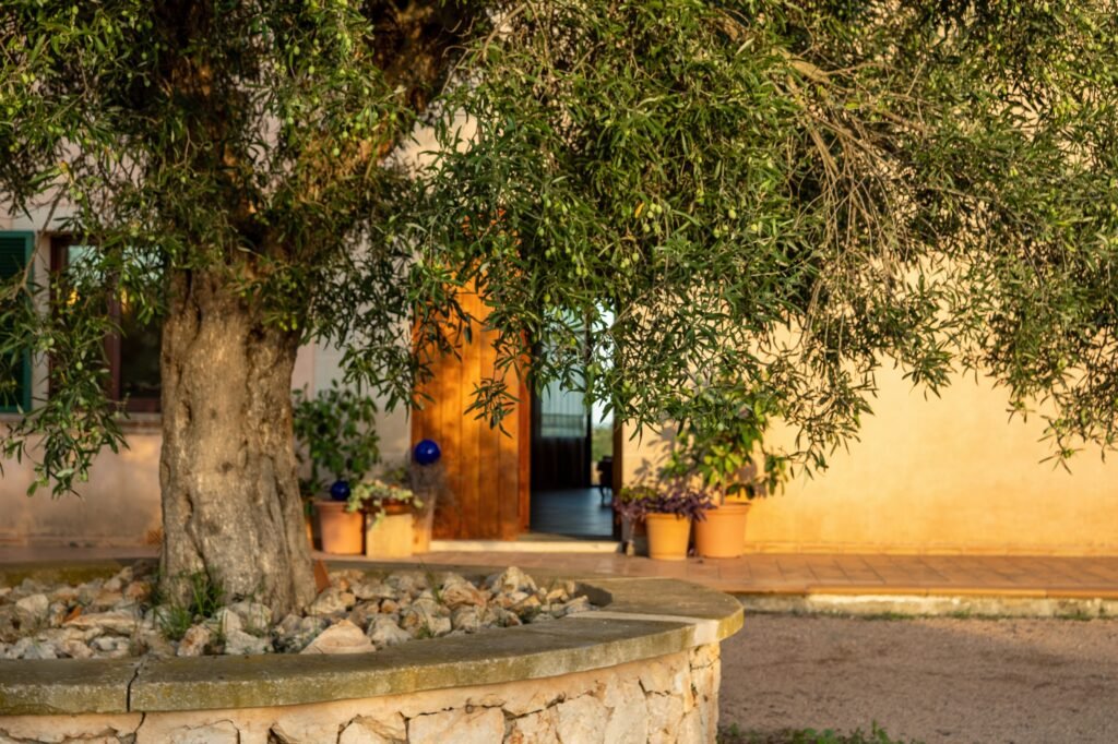 SIMII | Marketing Visual Y Redes Sociales En Mallorca